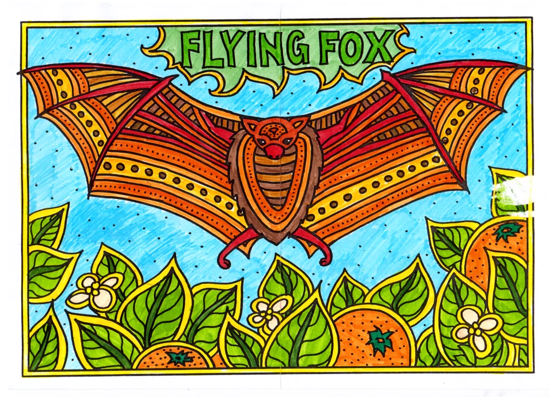 LiteralHat | Flying Fox Aboriginal Art Coloring